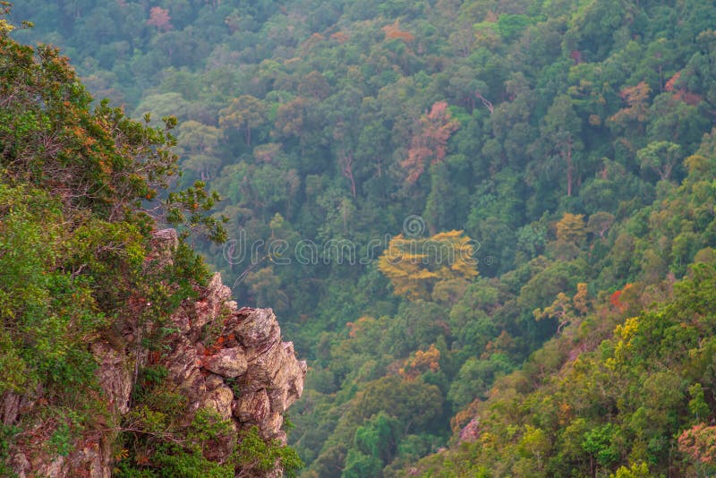 Cliff Covered with Jungles in Tropical Area Stock Photo - Image of ...