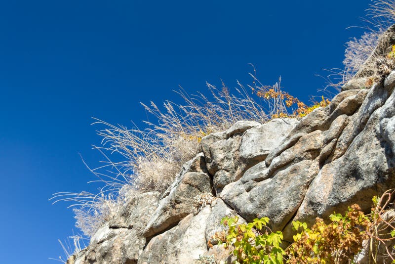 Cliff edge with dry grass stock image. Image of season - 161217445