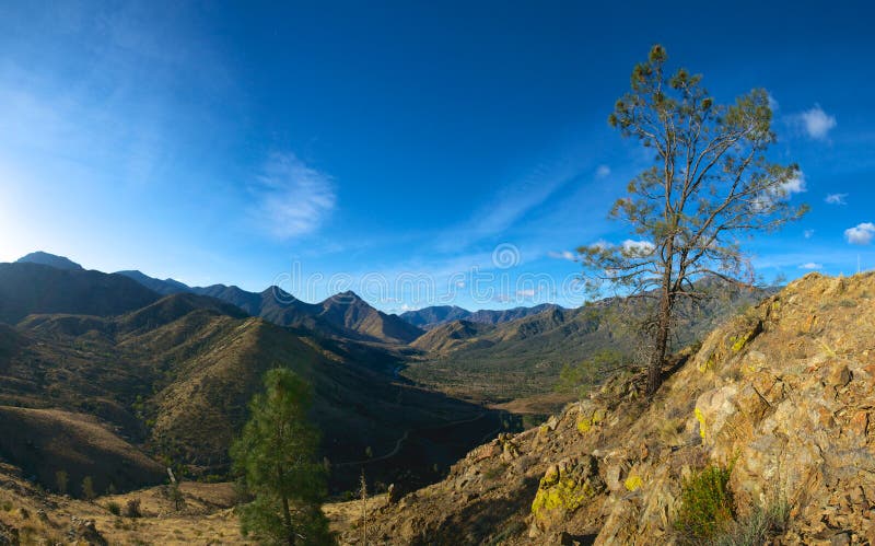 Cliff Edge Tree stock photo. Image of view, vista, national - 30828784