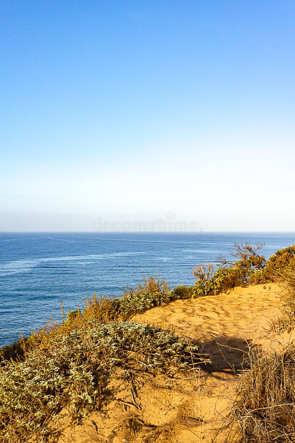 Cliff Edge Views of Ocean Expanse with Plants and Sand from Hilltop ...