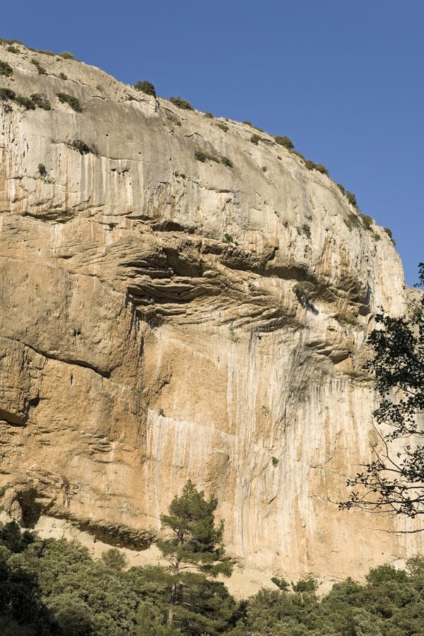 Cliff Face stock image. Image of tree, blue, vertical - 9991899