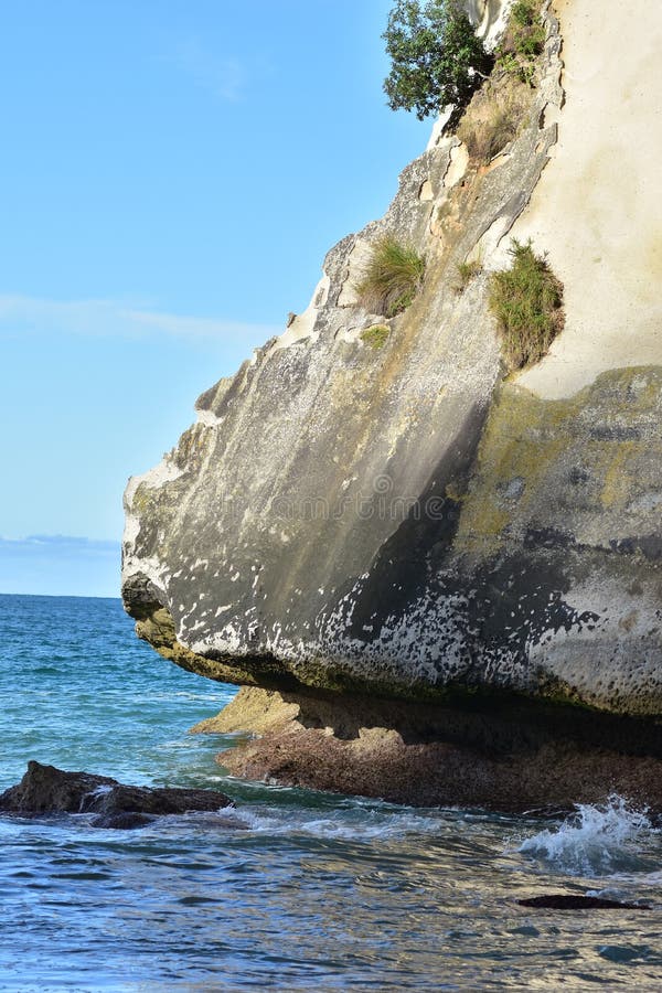 Cliff-face stock photo. Image of bushes, shore, coastline - 98178334