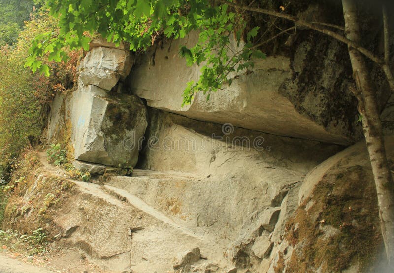 Cliff face stock image. Image of brown, tree, rock, leaves - 100261743
