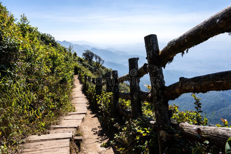 Cliff Footpath in Tropical Forest Stock Image - Image of adventure ...