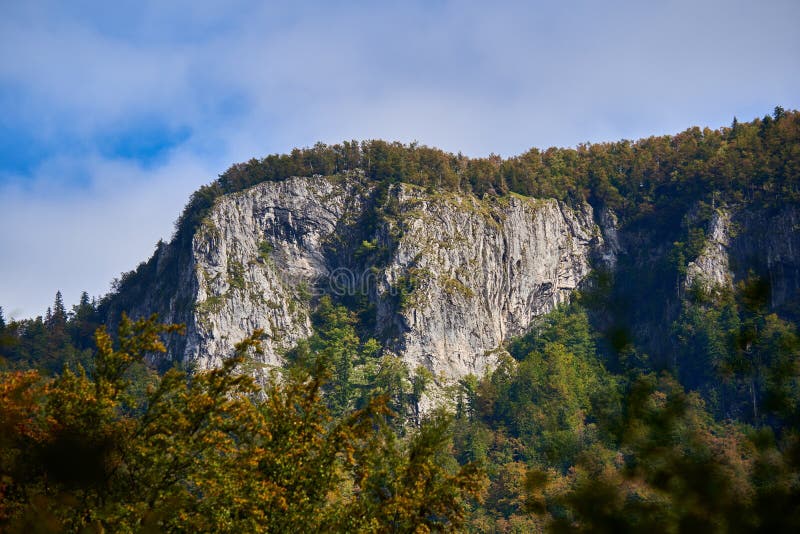 Cliff with forests stock image. Image of destination - 259569917