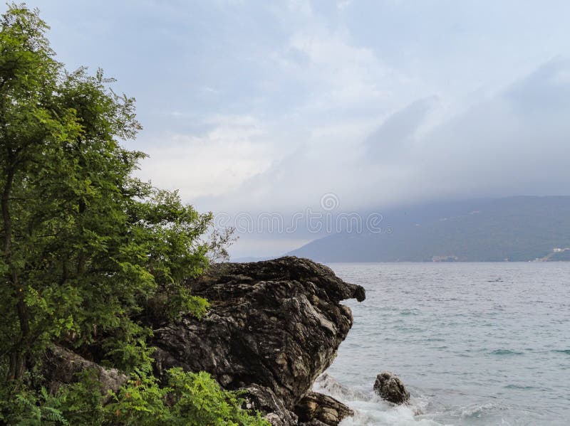 Cliff and Green Tree Over the Sea Stock Image - Image of beautiful ...