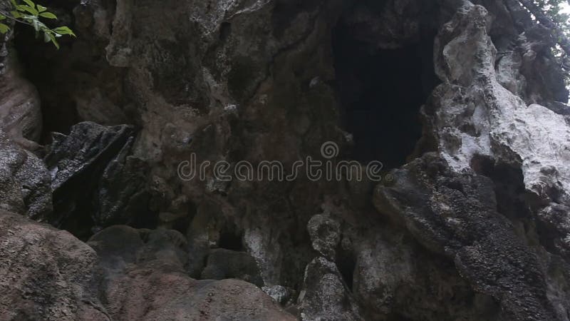Cliff with Growing Trees and Caves Stock Video - Video of dark, grotto ...