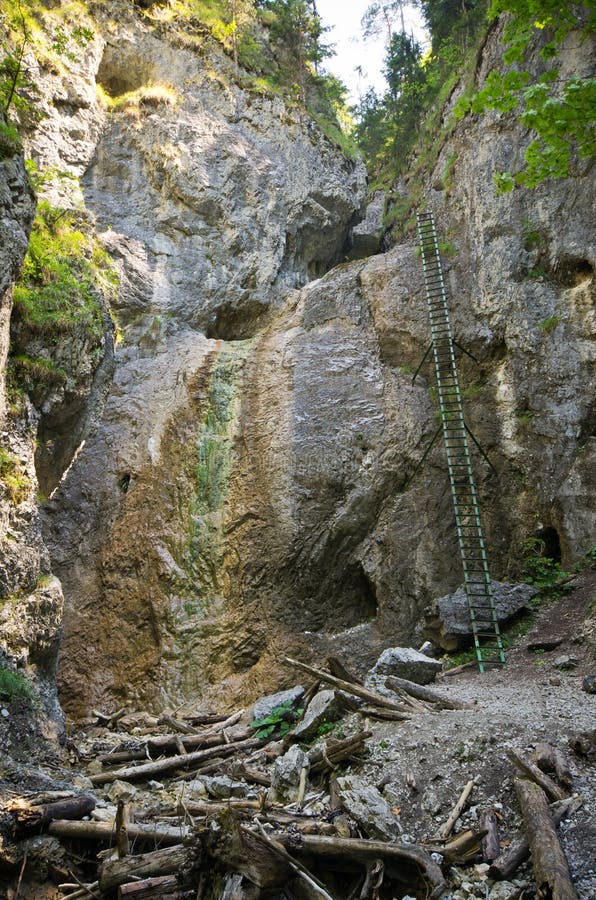 Cliff with Ladder in Slovak Paradise Stock Image - Image of ladder ...