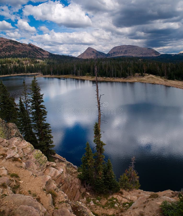 Cliff Lake view stock photo. Image of utah, water, forest - 374864