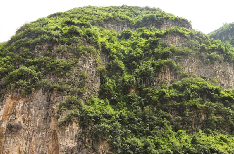 Cliff stock image. Image of vegetation, rock, chongqing - 58161447