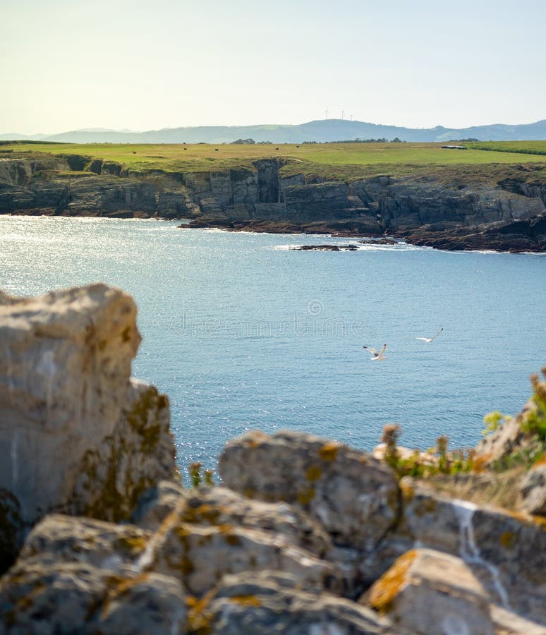 Cliff, Ocean and Green Meadows in a Natural Environment Stock Image ...