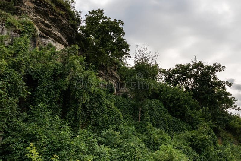 A Cliff Overgrown with Greenery and Trees. Stock Photo - Image of ...
