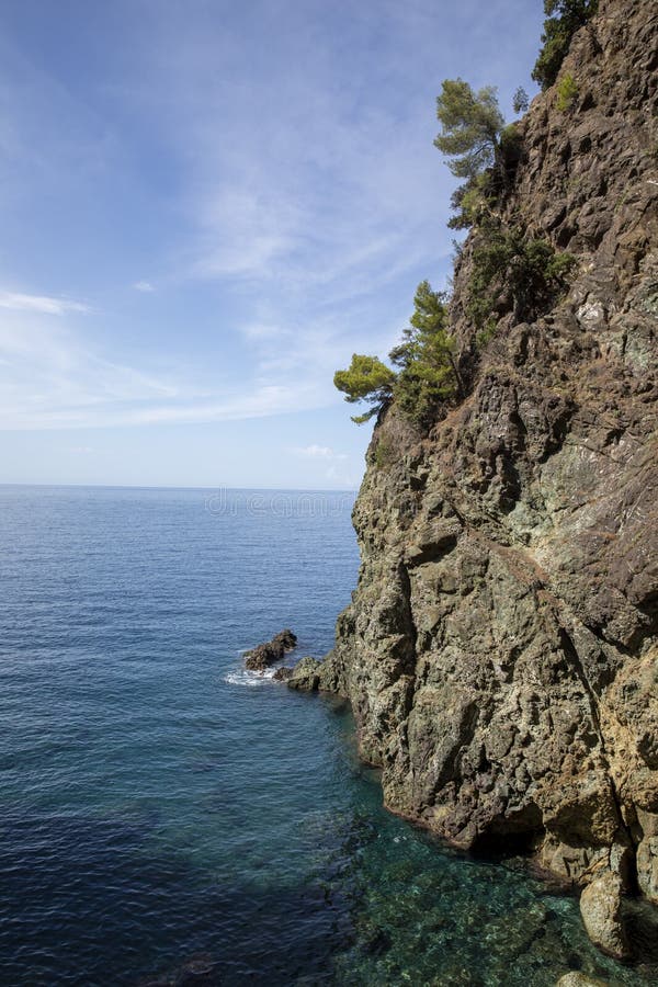 Cliff Overlooking the Calm Sea with Trees. Blue Sky Stock Image - Image ...