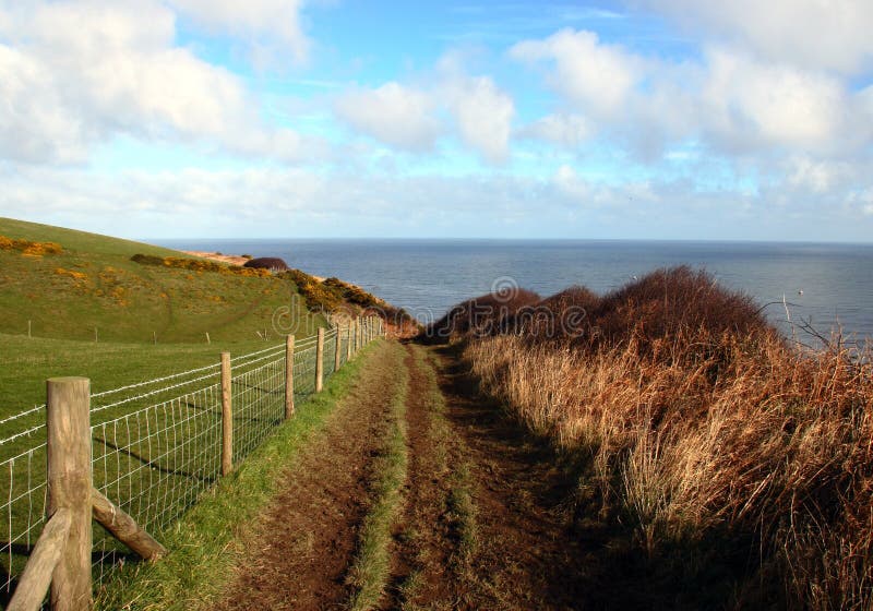 Cliff path stock photo. Image of ocean, path, track, cliff - 2025772