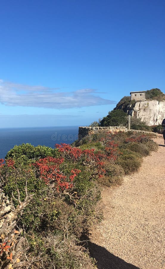 Cliff Path Overlooking Ocean Stock Photo - Image of blue, flowers: 87701528