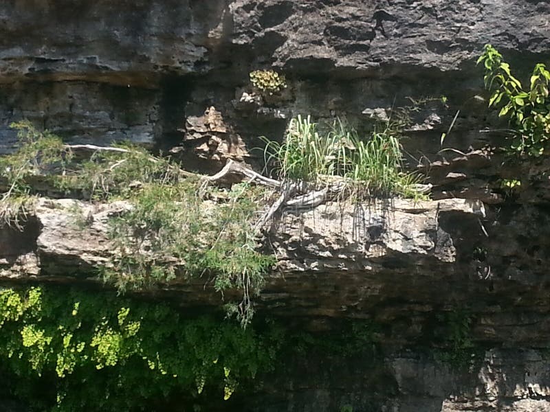 Cliff stock photo. Image of cliff, unique, scenery, river - 54044872