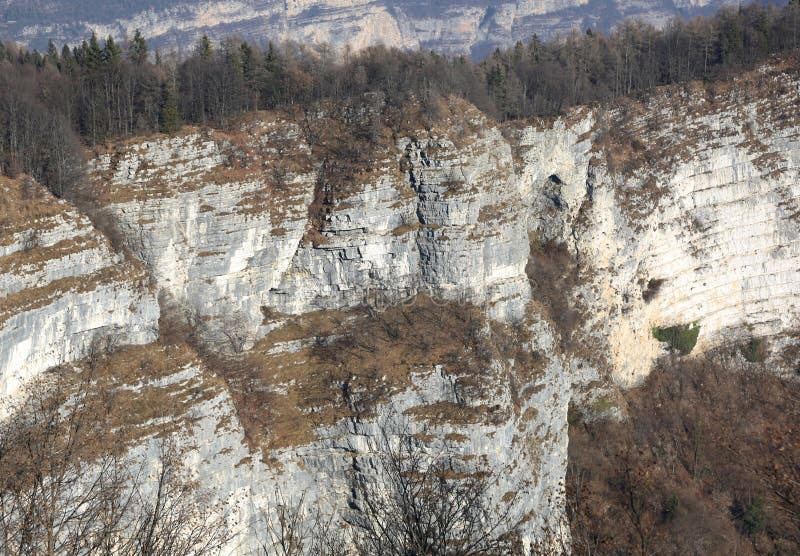 Cliff with Rock and Forest in the Mountains in Winter Stock Image ...