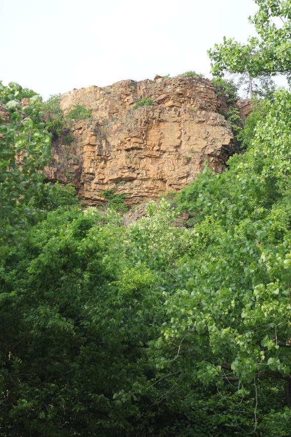 Cliff stock image. Image of high, trees, quarry, tall - 81128241
