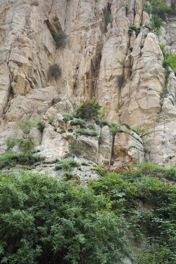 Cliff s Details stock image. Image of geology, yellow - 25848683