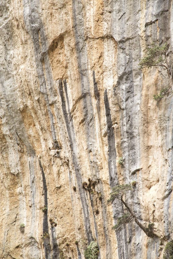 Cliff texture stock image. Image of beige, grunge, rough - 146877191