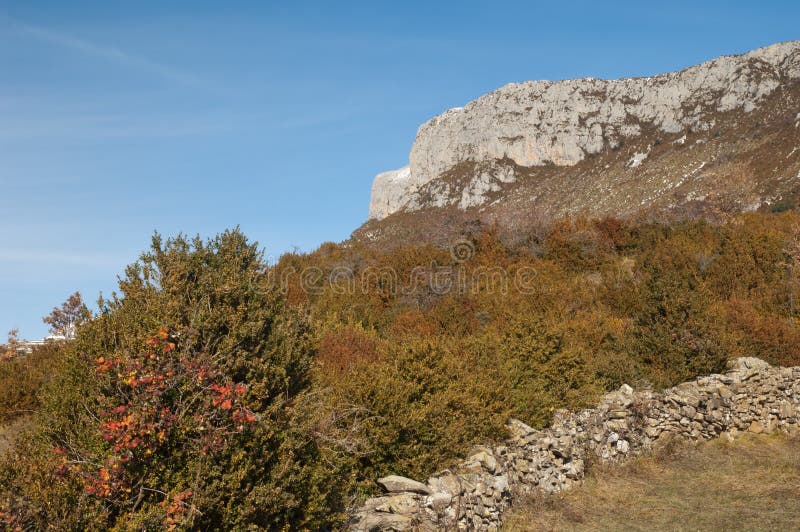 Cliff and Shrubland in the Pyrenees of Huesca. Stock Photo - Image of ...