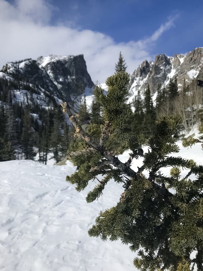 Cliff side stock image. Image of cliff, view, colorado - 114509995