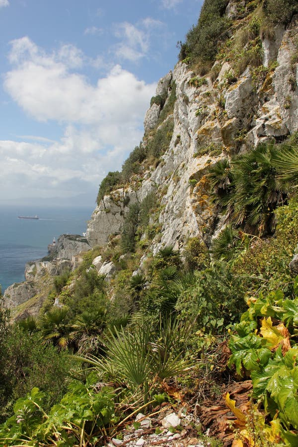 Cliff stock image. Image of bush, linea, holiday, high - 94797357