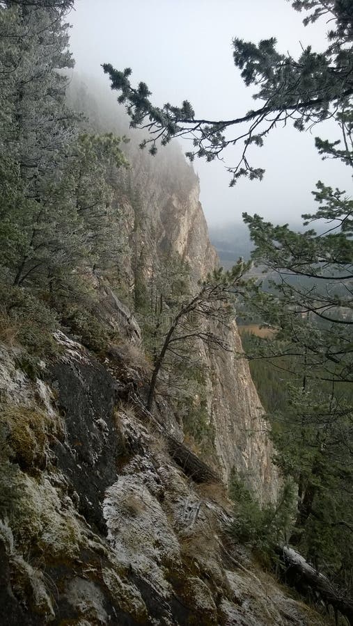 Cliff side tunnel trees stock photo. Image of fallen - 78353074