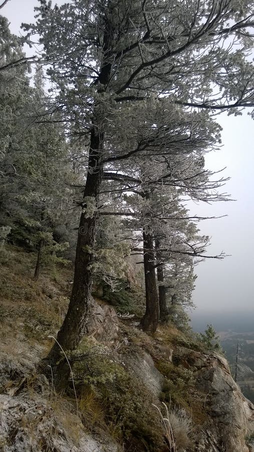 Cliff side tunnel trees stock photo. Image of formation - 78353100