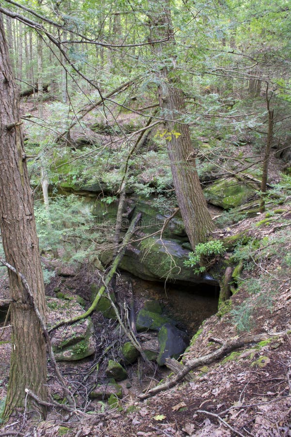 Cliff Photographed from Above Stock Photo - Image of rocks, moss: 273247354