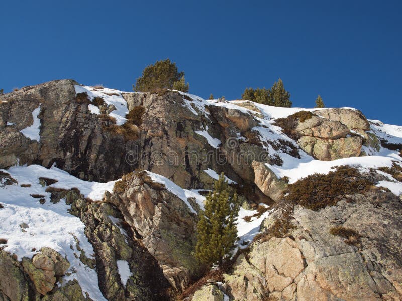 A Cliff on a Snowy Slope Against the Blue Sky with a Lone Tree on Top ...