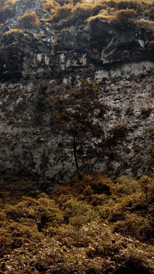 Cliff Surround Coban Rondo Waterfall Stock Image - Image of cliff ...
