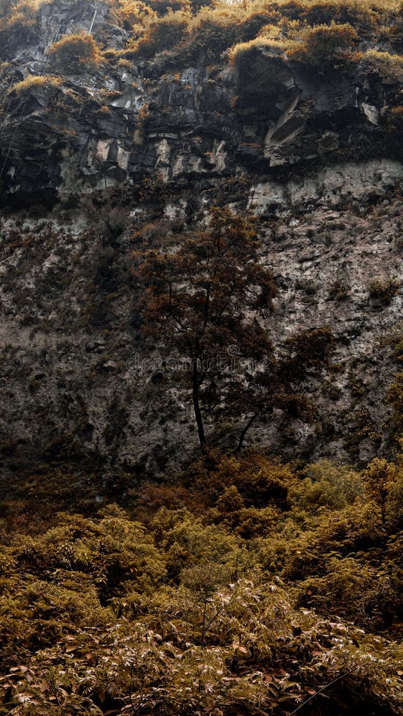 Cliff Surround Coban Rondo Waterfall Stock Image - Image of cliff ...