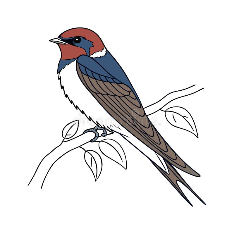 Cliff Swallow Bird Colorful Artwork Stock Illustration - Illustration ...