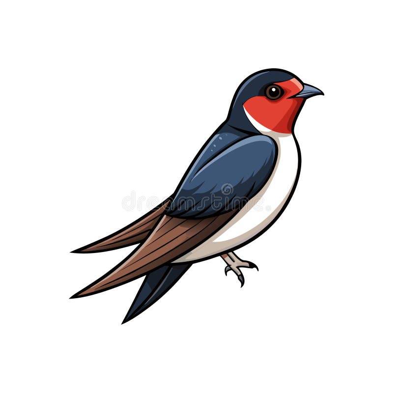Cliff Swallow Bird Realistic Art Stock Illustration - Illustration of ...