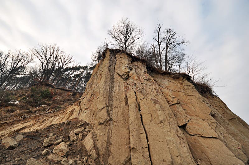 Cliff with trees stock photo. Image of geologic, land - 13536542