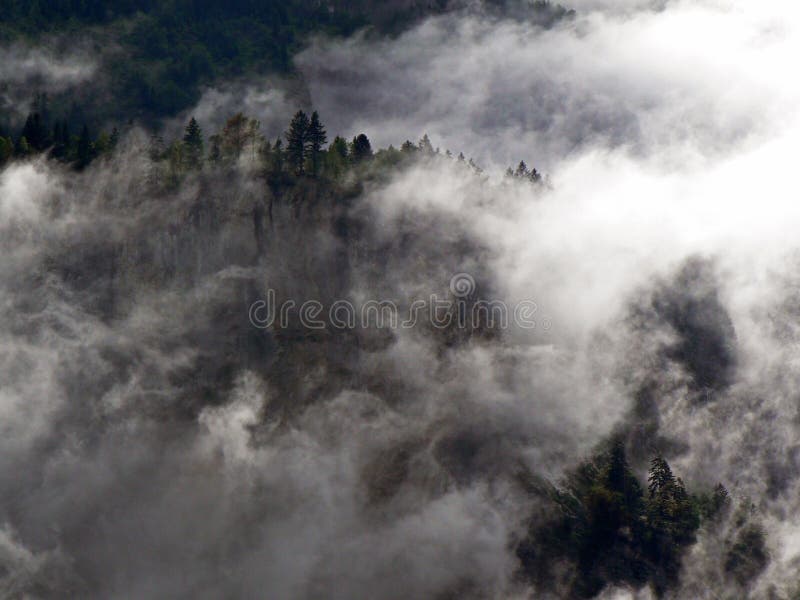 Cliff and Trees with Low Cloud and Mist Stock Image - Image of cliff ...