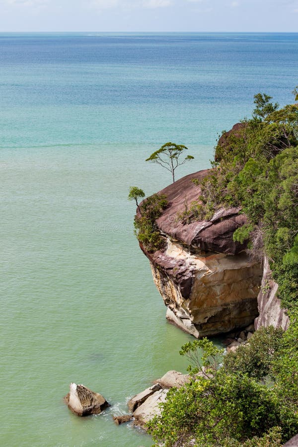 Cliff and Trees at Ocean Shore Stock Image - Image of water, angle ...