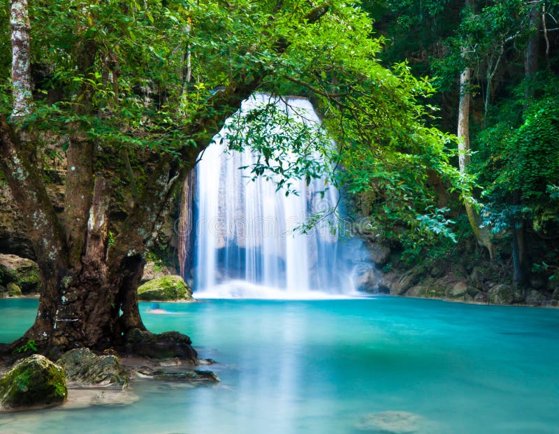 Cliff of Waterfall in Deep Forest Stock Image - Image of clean, scenery ...