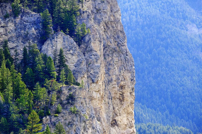 Cliff in Wilderness Mountains with Pine Trees Growing on Slope Stock ...