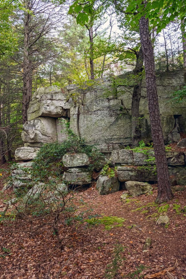 Cliff in the Woods stock photo. Image of trees, cliff - 261039980