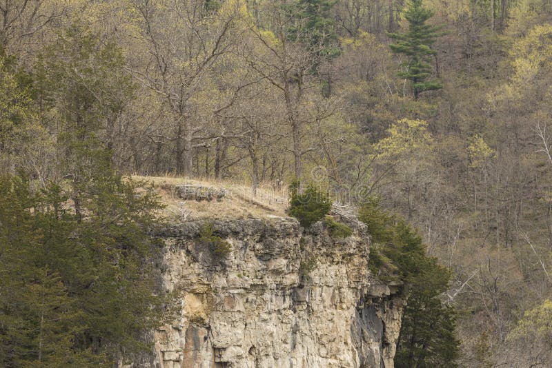 Cliff in the Woods stock image. Image of park, summer - 97305715