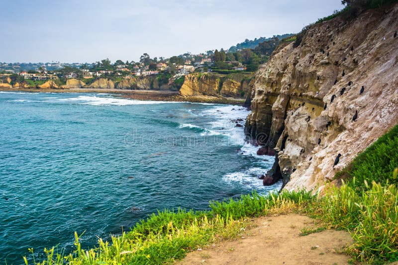 Cliffs Along the Pacific Ocean, in La Jolla Stock Image - Image of ...