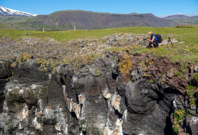 The Cliffs between Arnarstapi and Hellnar in Snaefellsnes, West Iceland ...