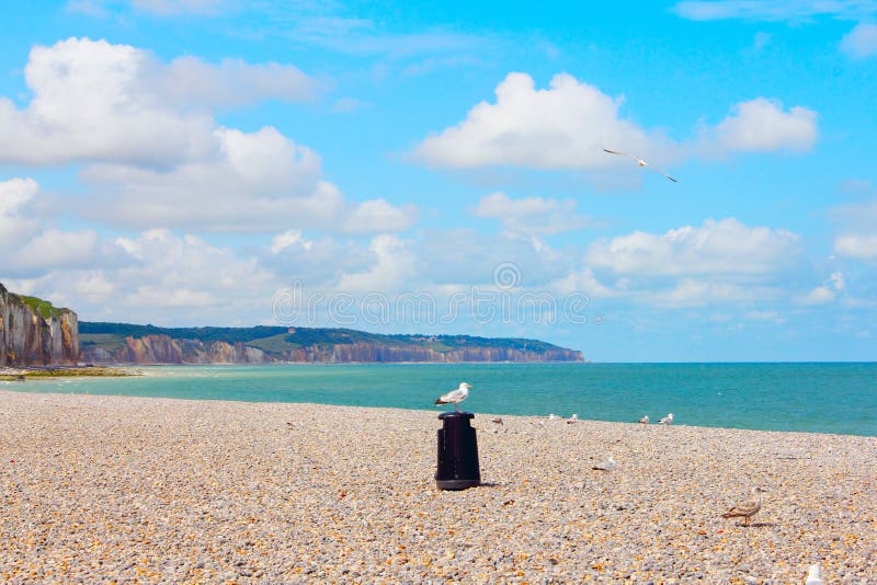 Cliffs and beach in Dieppe stock photo. Image of hill - 112998514