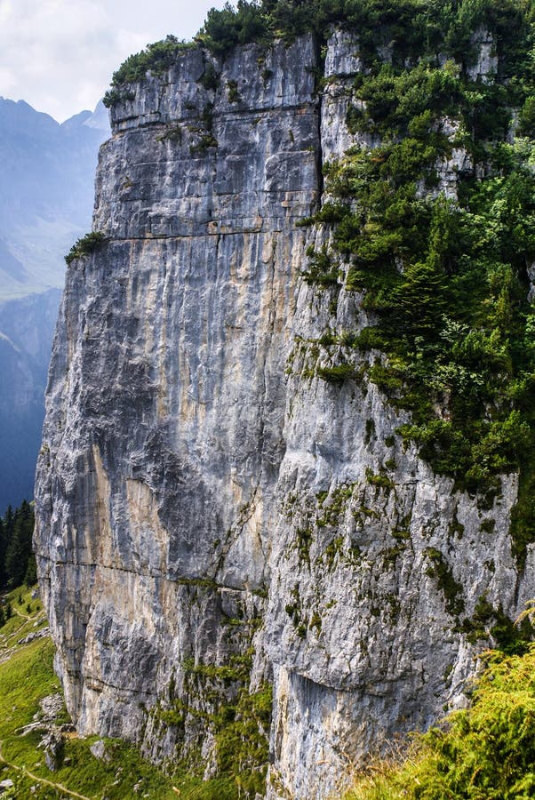 Cliffs Covered with Trees Near Ebenalp, Switzerland Stock Image - Image ...