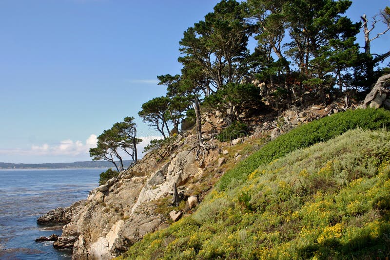 Cliffs, Cypress Trees and Ocean, Carmel Stock Photo - Image of cypress ...