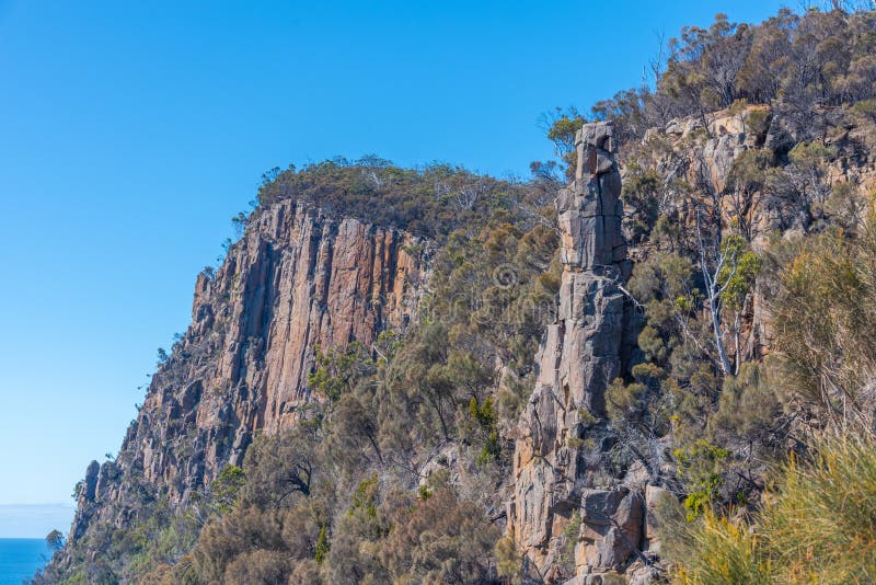 Cliffs of Fluted Cape at Bruny Island in Tasmania, Australia Stock ...