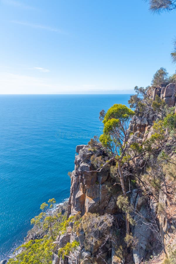 Cliffs of Fluted Cape at Bruny Island in Tasmania, Australia Stock ...