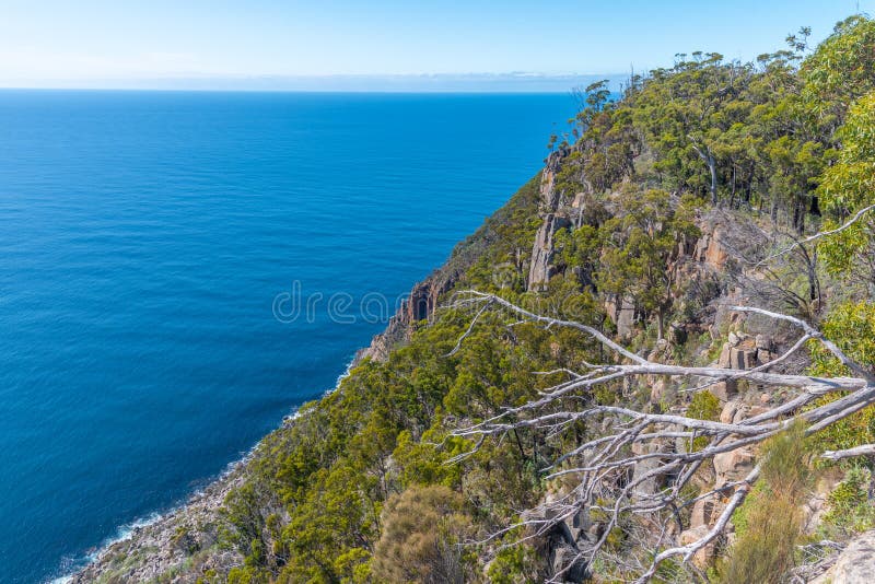 Cliffs of Fluted Cape at Bruny Island in Tasmania, Australia Stock ...